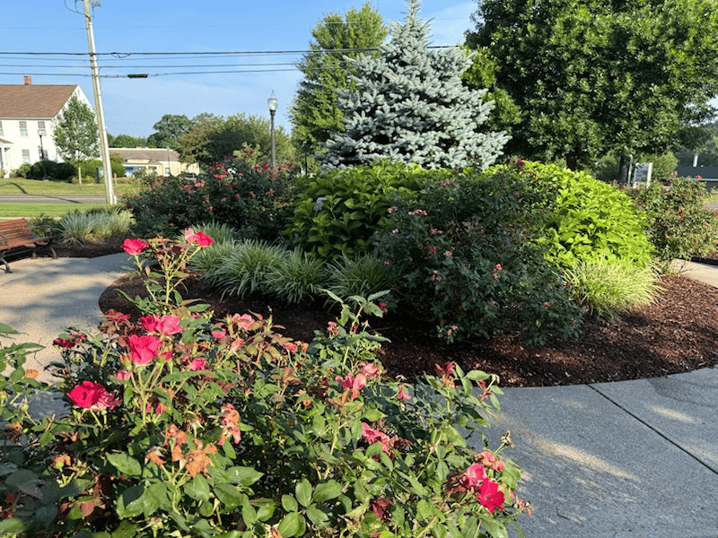 Southbury Green Honored for Outstanding Landscape Design in Southbury, CT